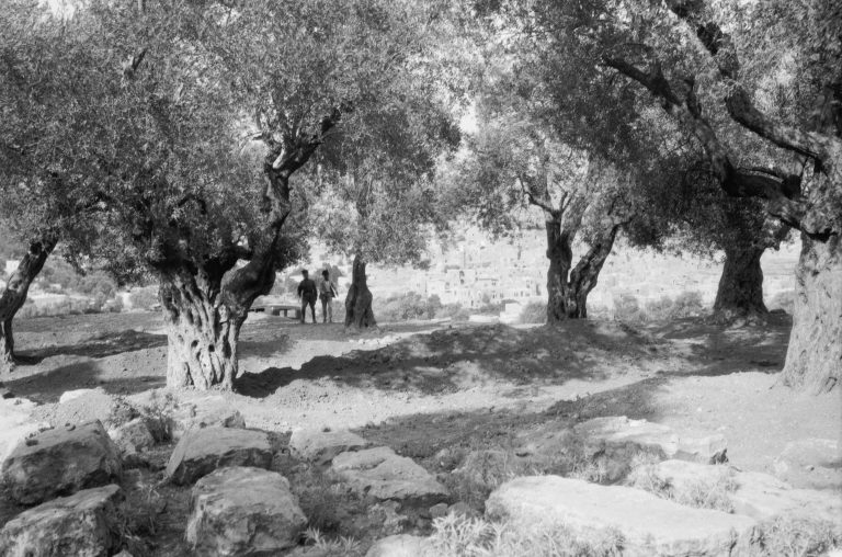 Remembering the 1929 Hebron Massacre - Jewish Action