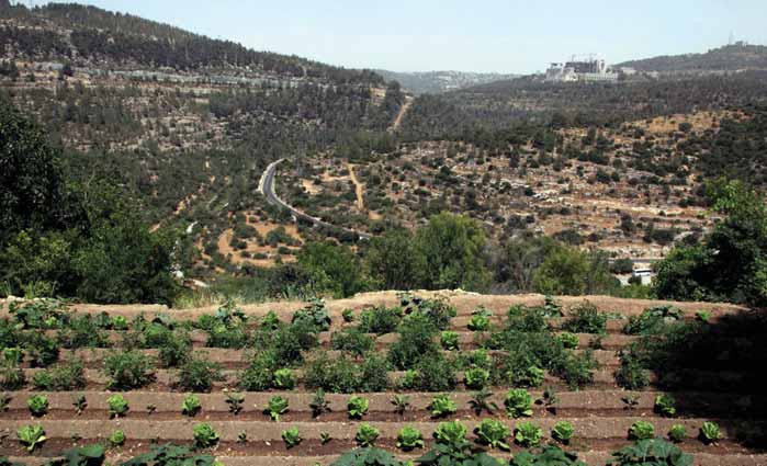 On and Off the Beaten Track in . . . Sataf - Jewish Action